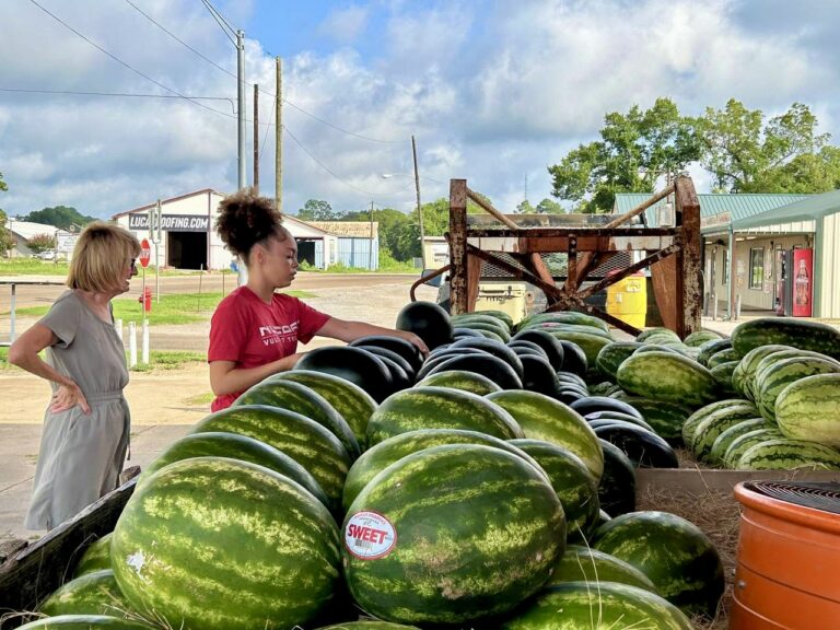 Get Those Watermelons Before the Season Ends! - The Messenger News